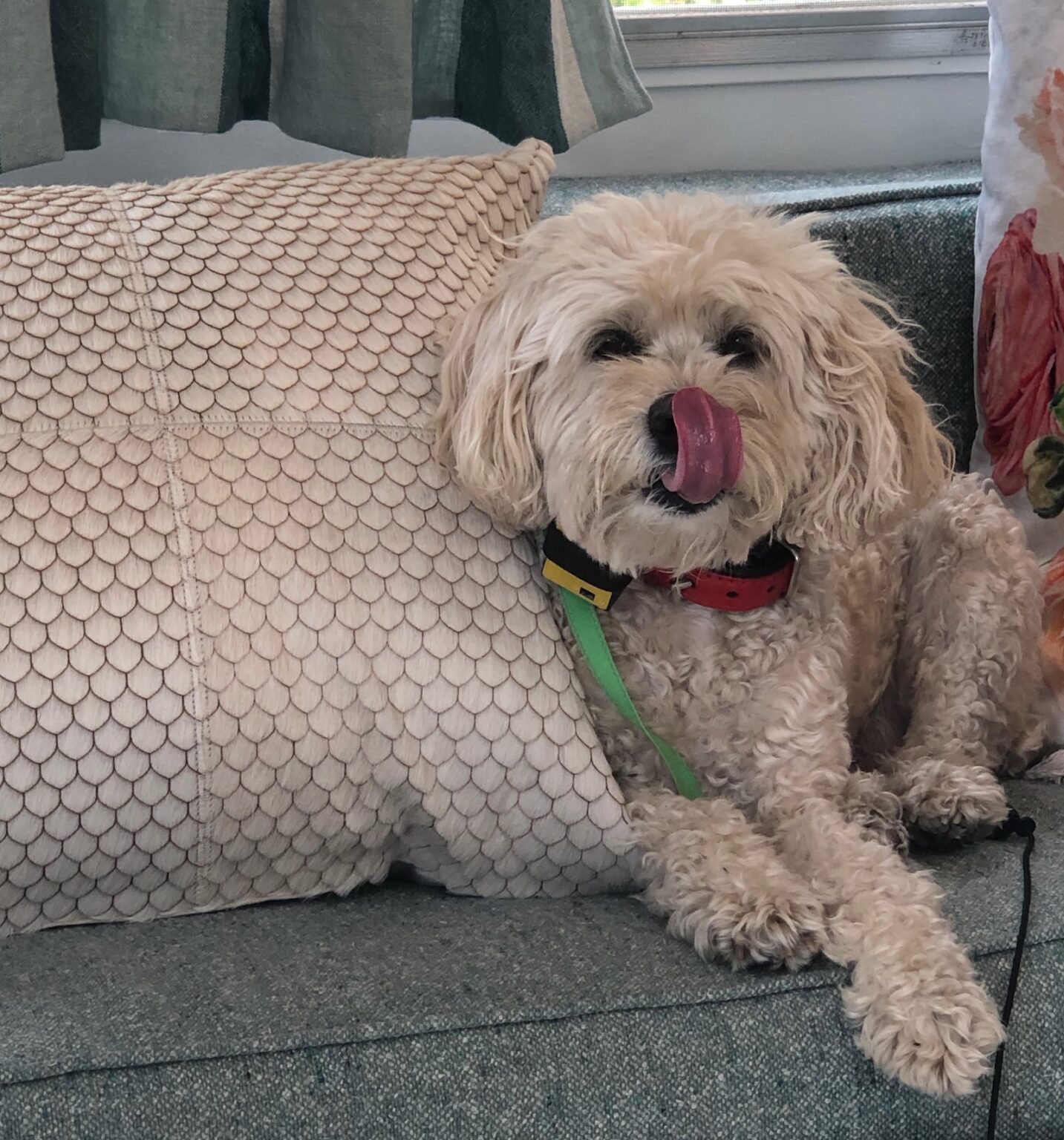 Connect | The Bakerloo Collection